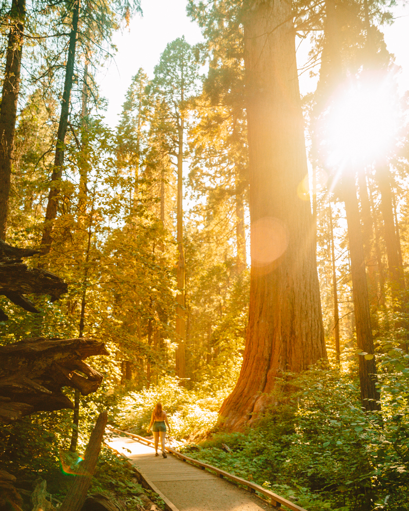 About Us - whimsyhomes.com